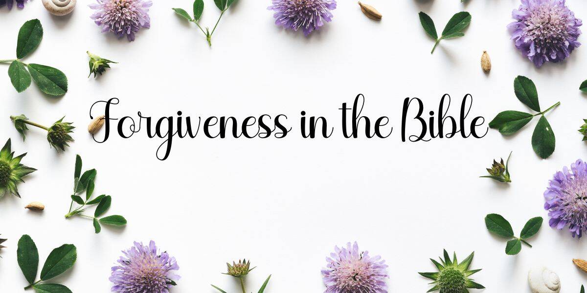 Forgiveness in the Bible and How to Practice It - Hebrews 12 Endurance